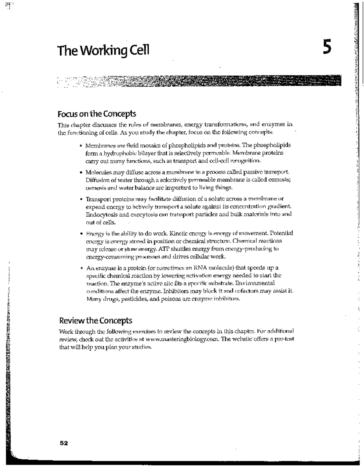 Chapter 5 Study Guide - Very helpful - BIOL 112L - Studocu