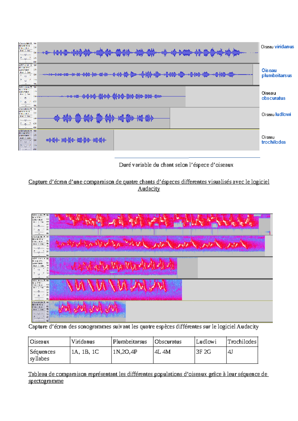 Tp oiseau pouillot - .... - Capture d’écran d’une comparaison de quatre ...