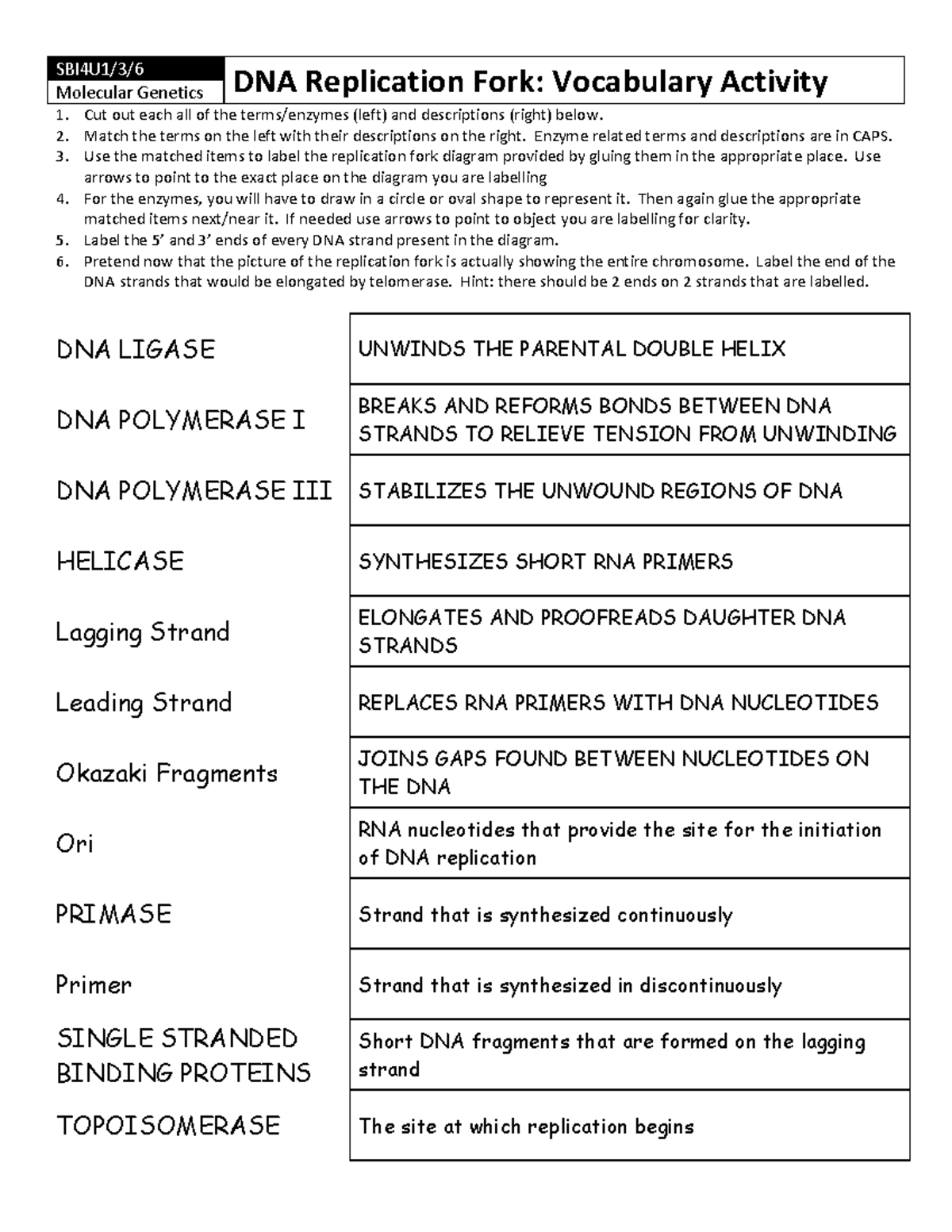 Activity - DNA Replication Fork Labeling - Warning: TT: undefined function: 32 Warning: TT ...