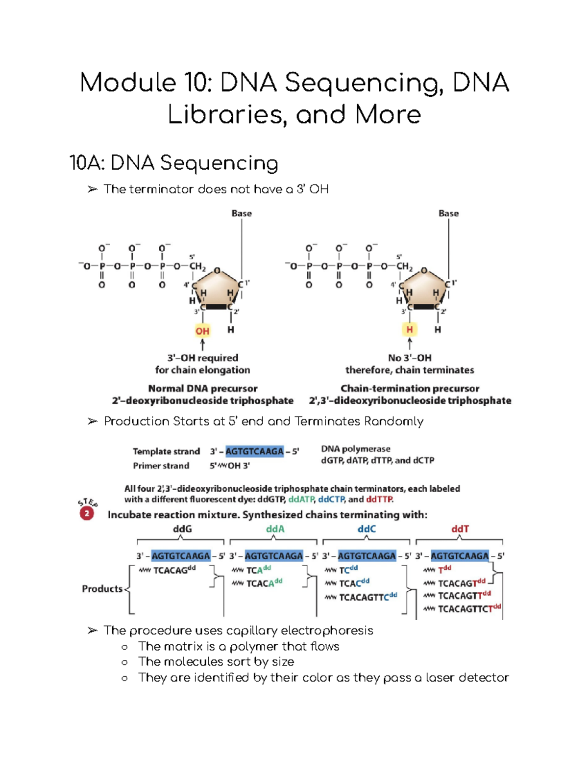 Module 10 DNA Sequencing, DNA Libraries, and More - Incubate reaction ...