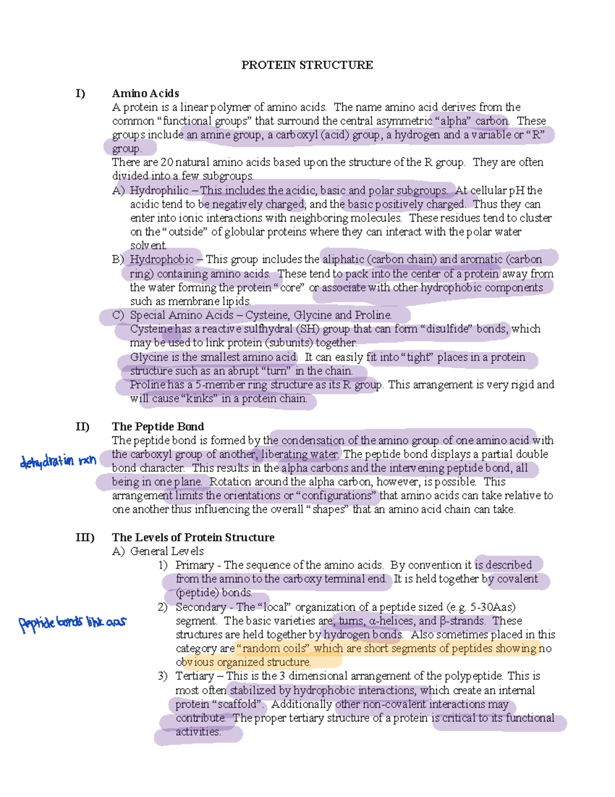BCOR 103 LN 02 Protein Structure mod 13 - PROTEIN STRUCTURE I) Amino ...