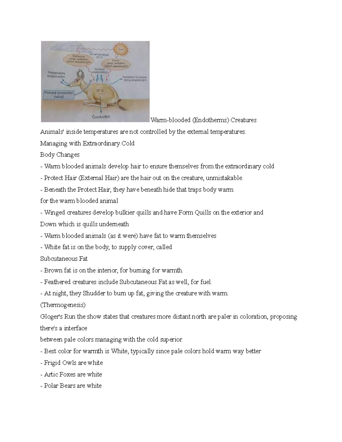 Animals - Warm-blooded (Endotherms) Creatures Animals' inside ...