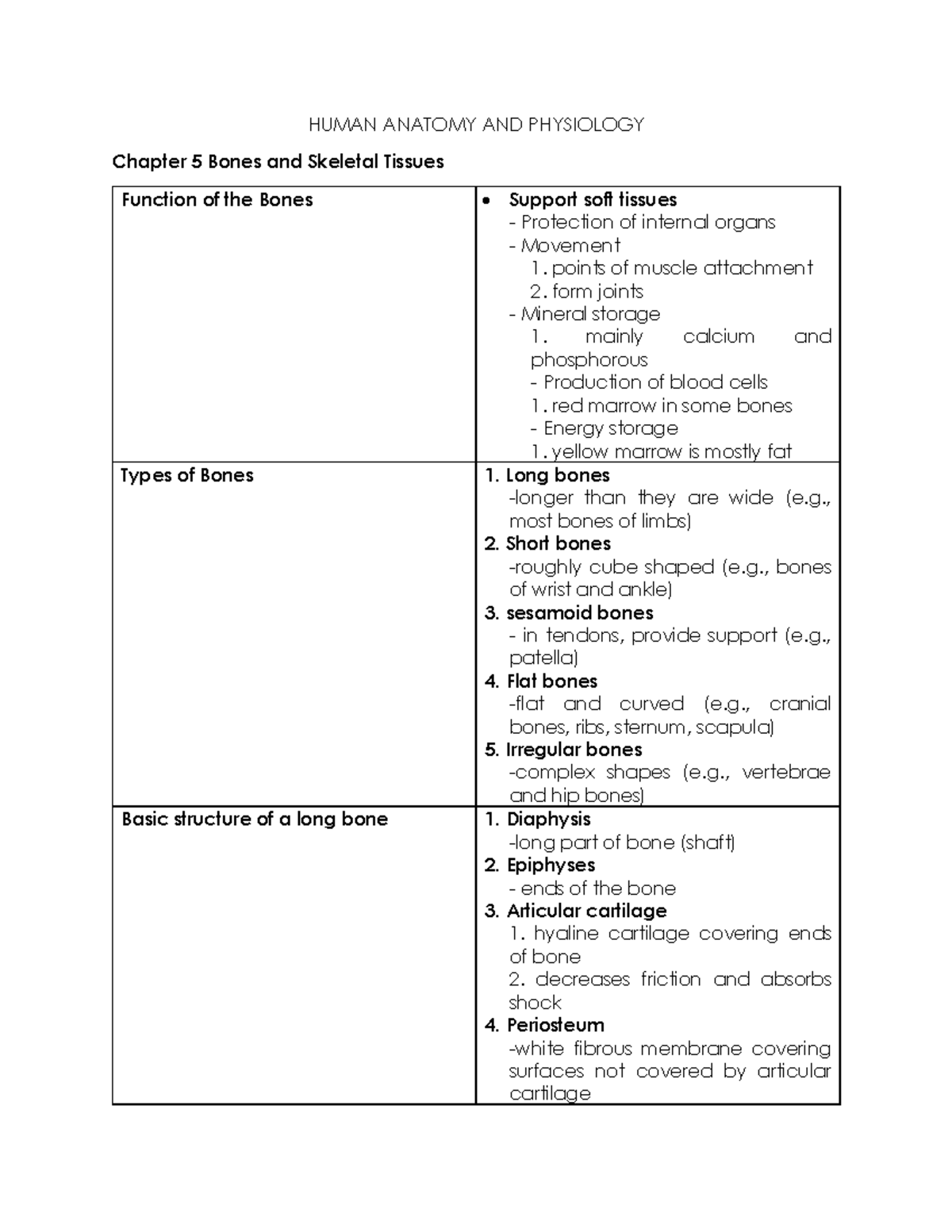 Human Anatomy AND Physiology- Bones, Sketal Tissues, and Joint Lecture ...