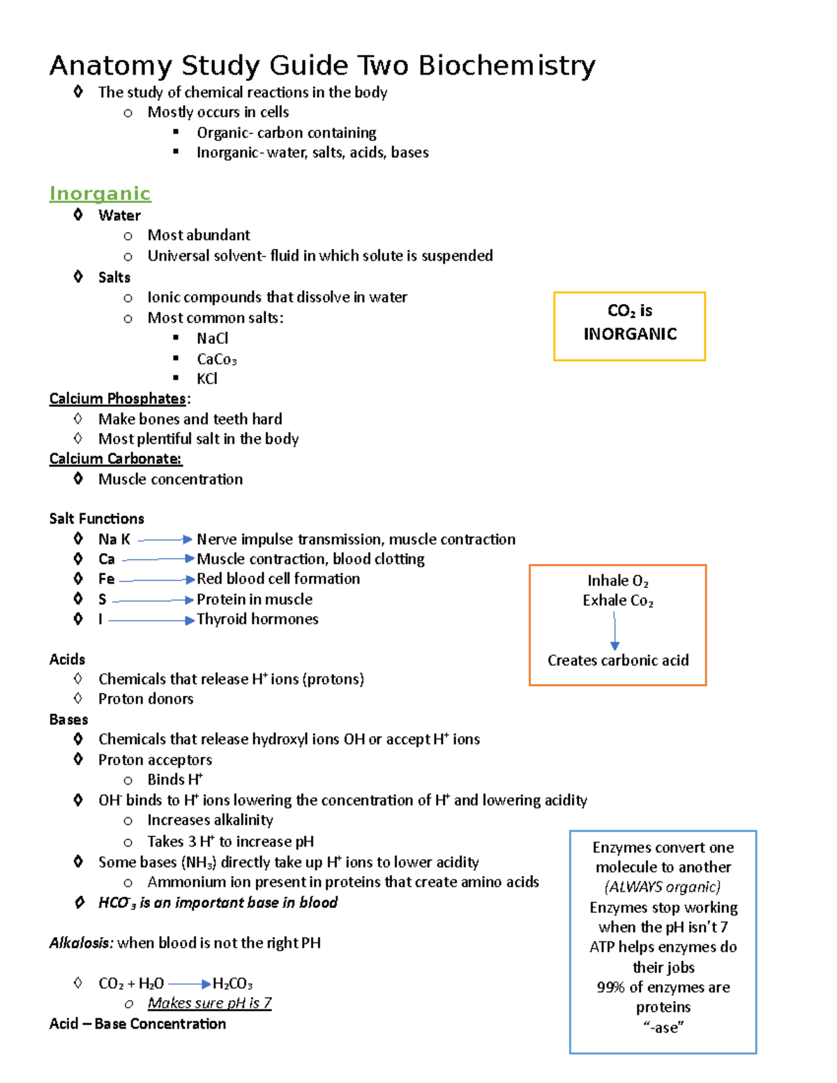 Anatomy Study Guide Two Biochemistry - Anatomy Study Guide Two ...