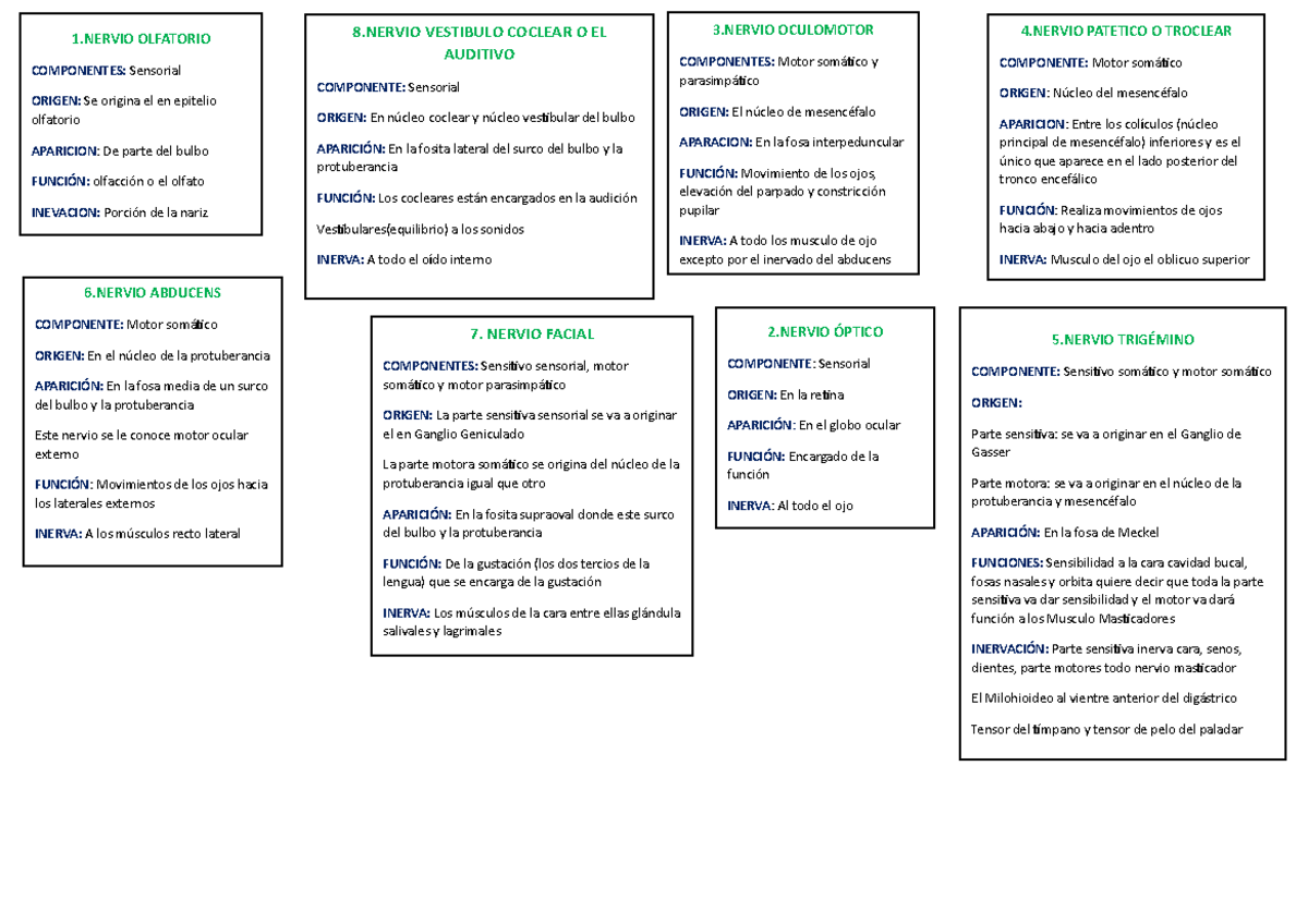 nervios craneales - 8 VESTIBULO COCLEAR O EL AUDITIVO COMPONENTE ...
