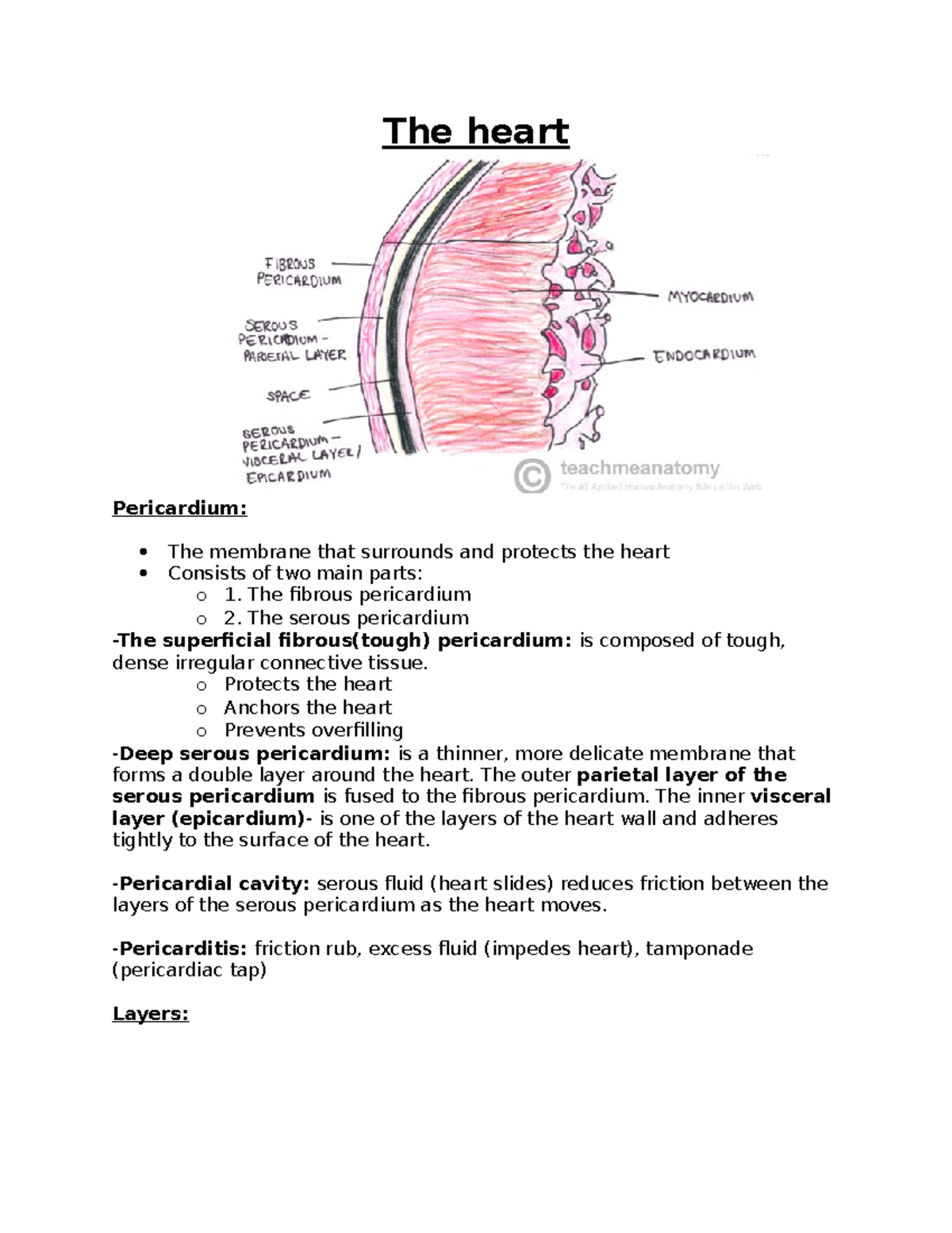 The heart- A&P2 - good - The heart Pericardium: The membrane that ...