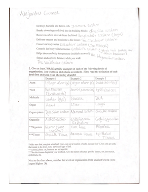 [Solved] The yeast Candida albicans does NOT normally cause disease ...