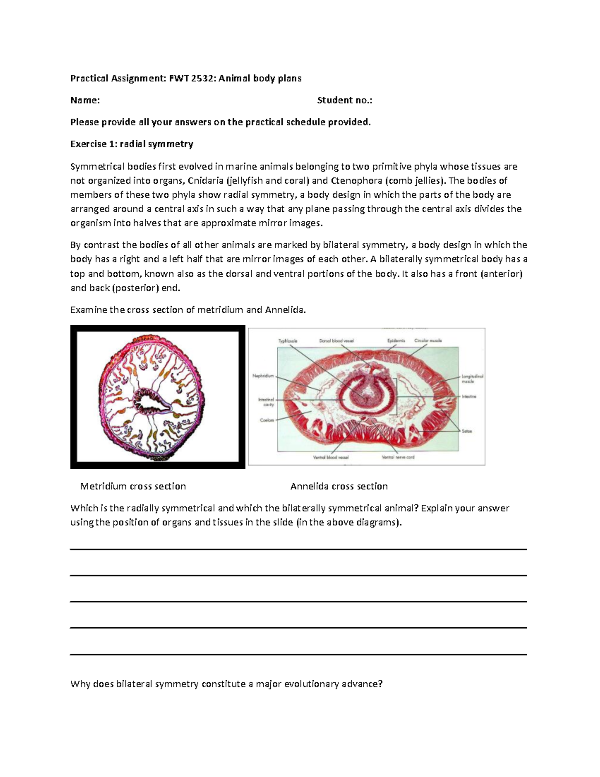 Practical Assignment Animal Body Plans - Practical Assignment: FWT 2532 ...