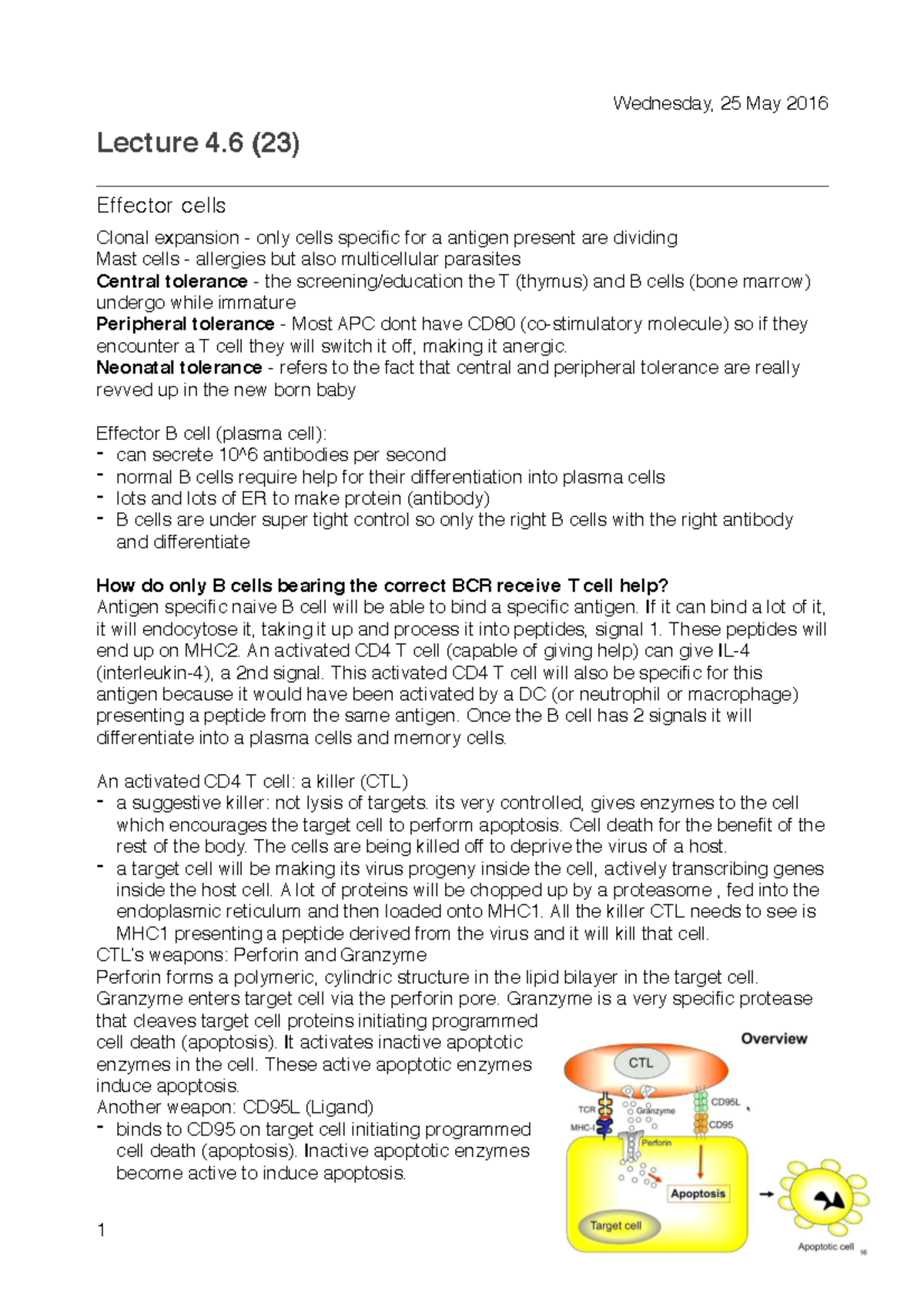 Module 4 Lecture 6 - Wednesday, 25 May 2016 Lecture 4 (23) Effector cells Clonal expansion ...