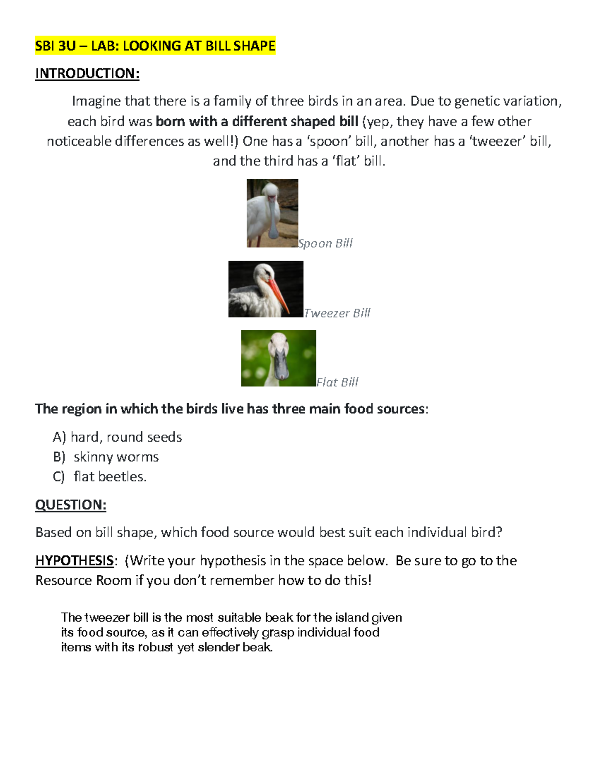 2F Bill Shape Lab - gizmo - SBI 3U – LAB: LOOKING AT BILL SHAPE ...