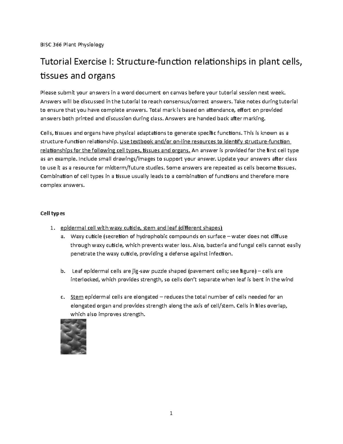 BISC366 tutorial 1 2021 - BISC 366 Plant Physiology Tutorial Exercise I ...