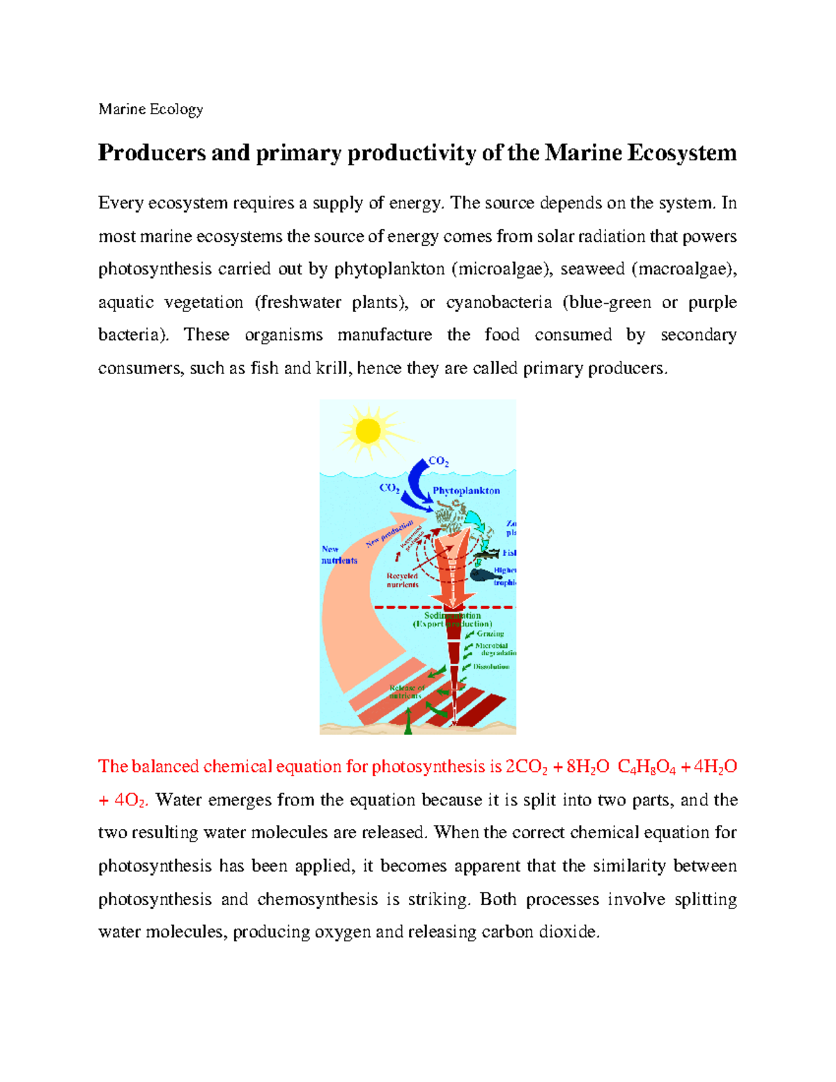 Producers and primary productivity of the Marine Ecosystem - Marine ...