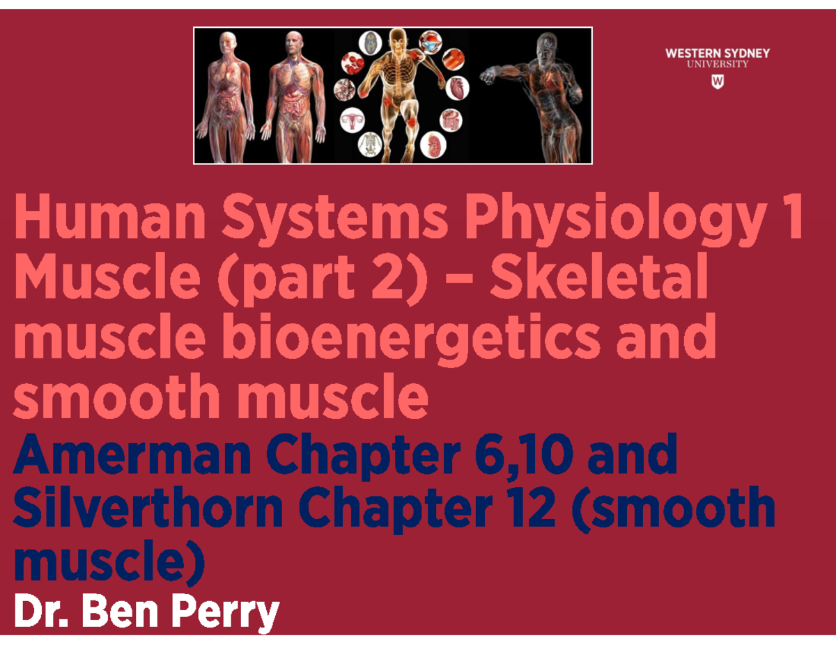 L4 Muscle 2 and Smooth muscle - Lecture learning outcomes © 2016 ...