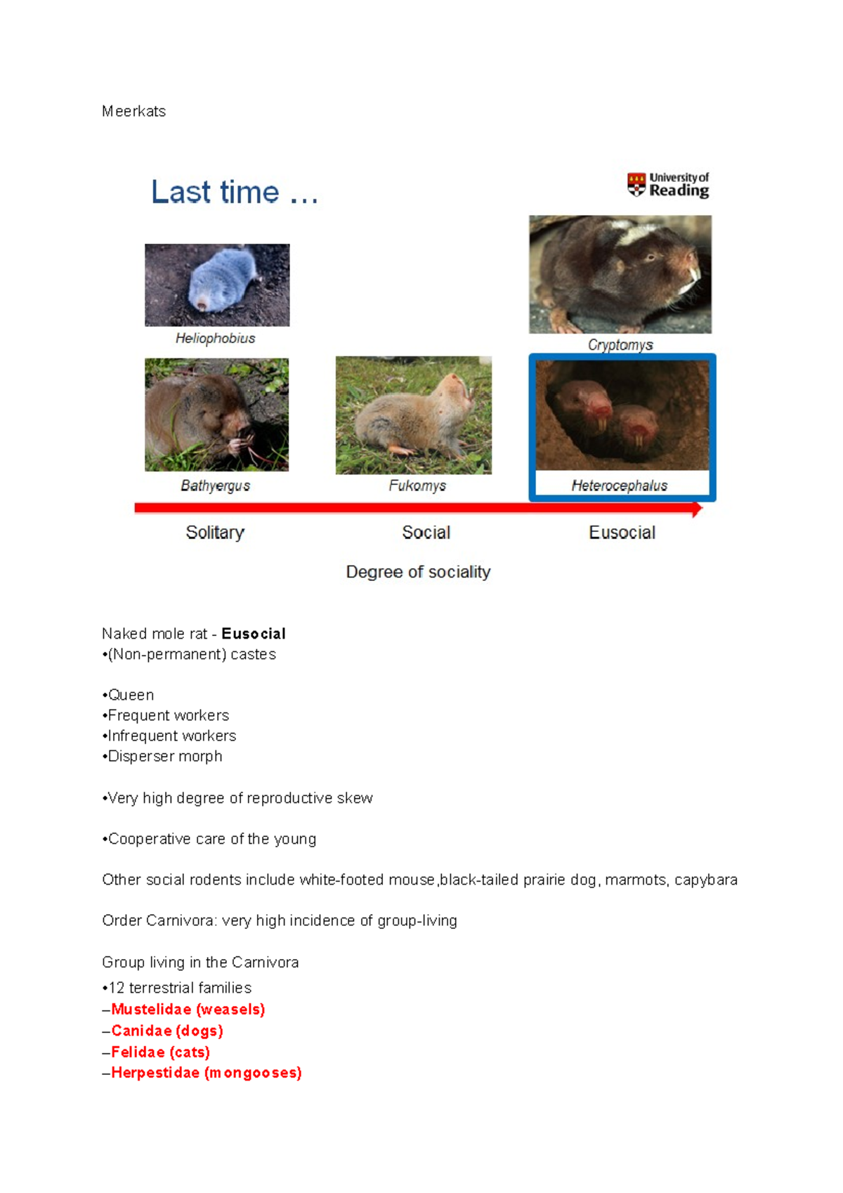 6. meerkats, banded mongoose and cooperative hunting - Meerkats Naked ...