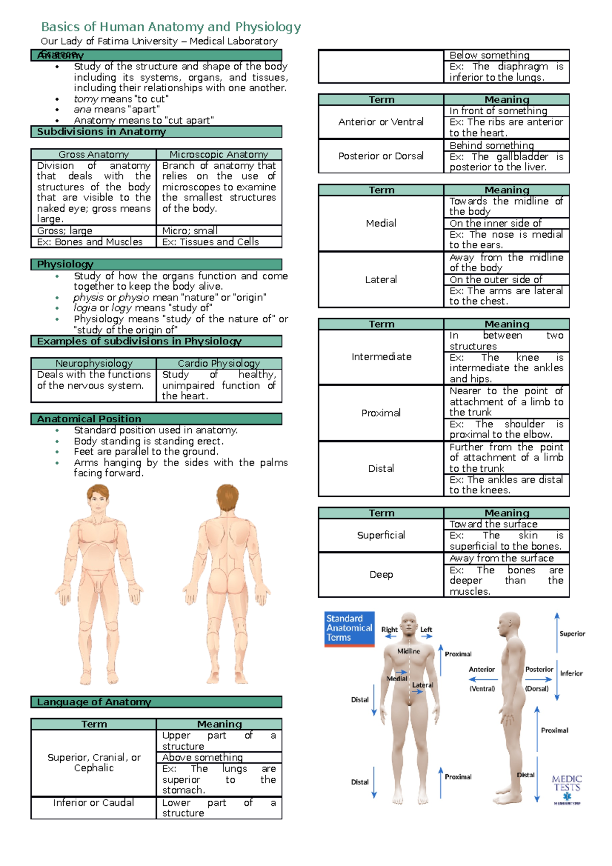 Basics of Anaphy - Lecture notes 111 - Anatomy Study of the structure ...