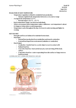 Human physiology topic 3,4,5,6, - Human physiology topic 5-6 notes ...