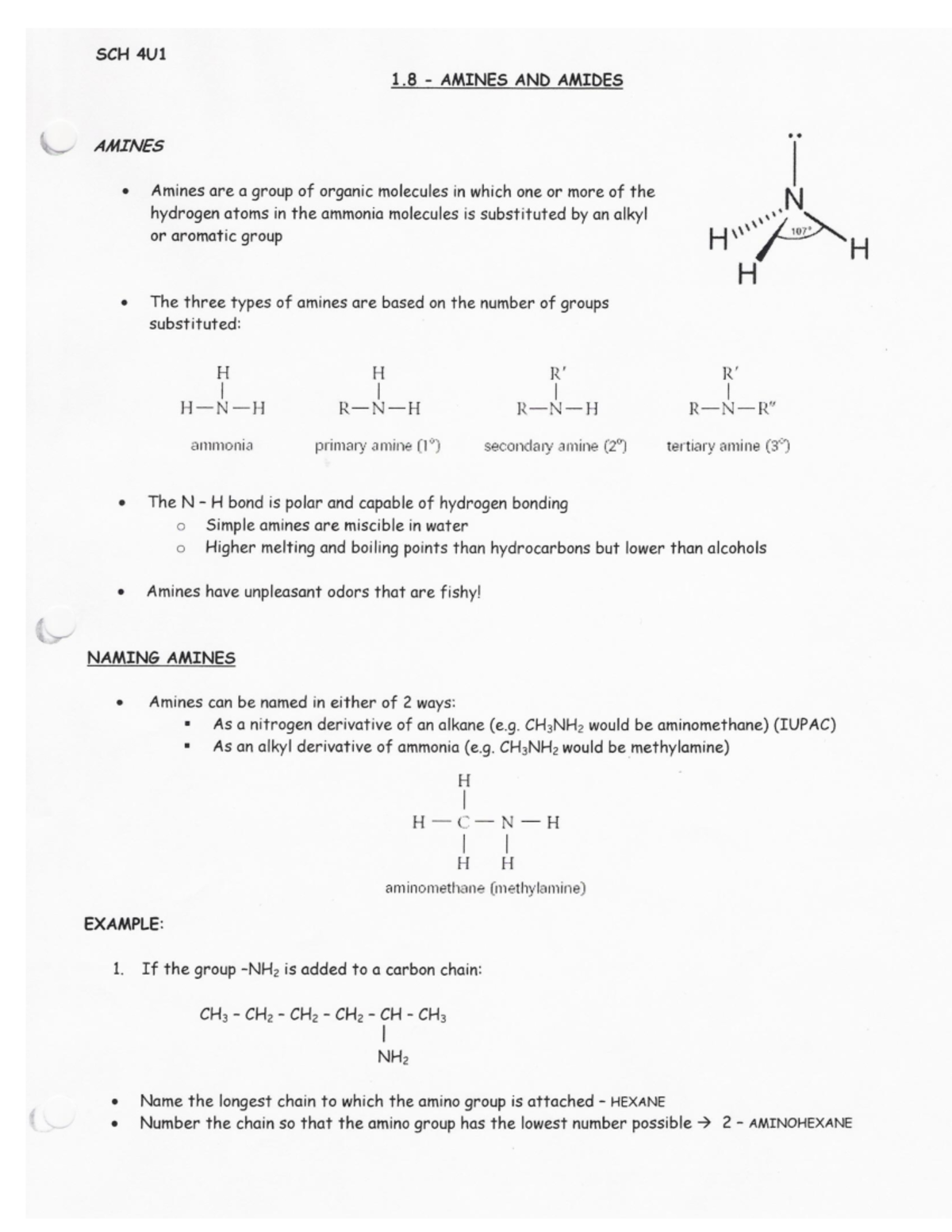 1.8 amines and amides SCH4U Chemistry University Grade 12 PDF Class ...