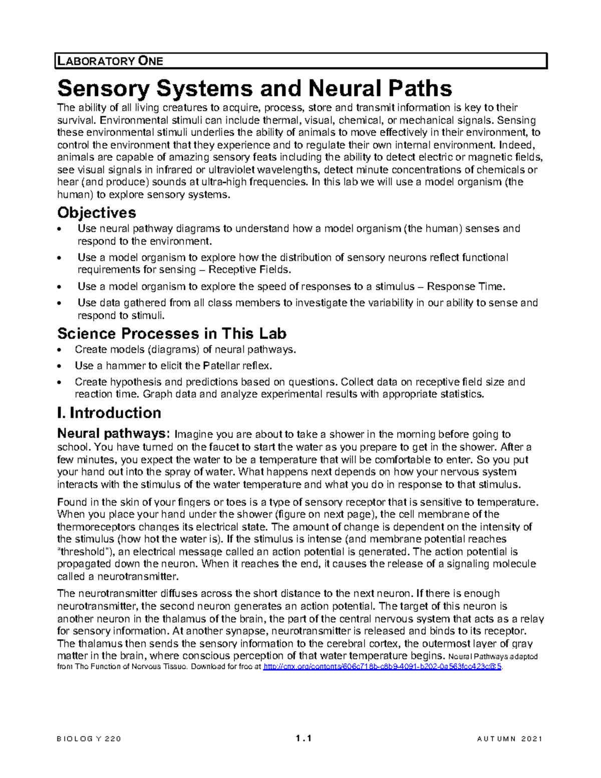 1 Sensory Phys Aut21 - lab - BIOL220 - UW - Studocu