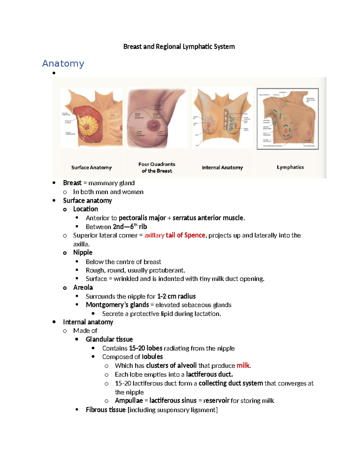 Week 10-Breast + Lymphatic notes - Breast and Regional Lymphatic System ...