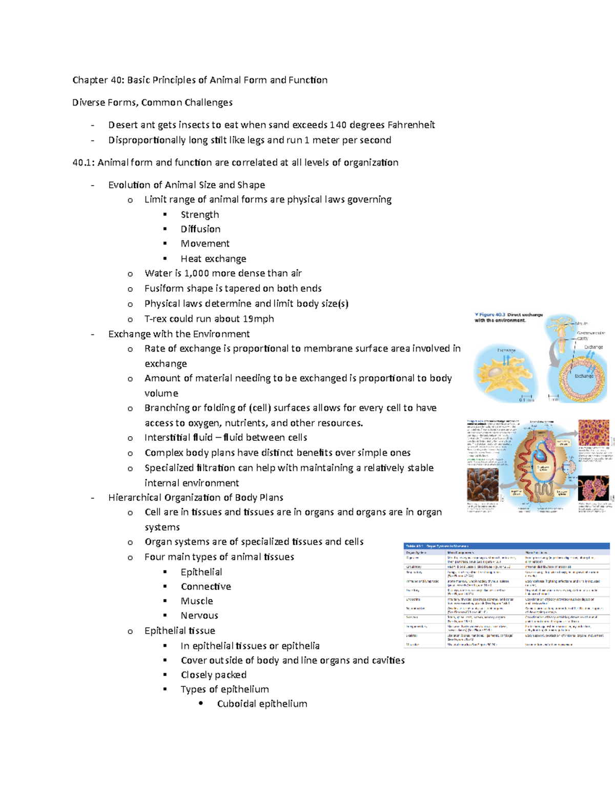 Chapter 40 Notes - Chapter 40: Basic Principles of Animal Form and ...