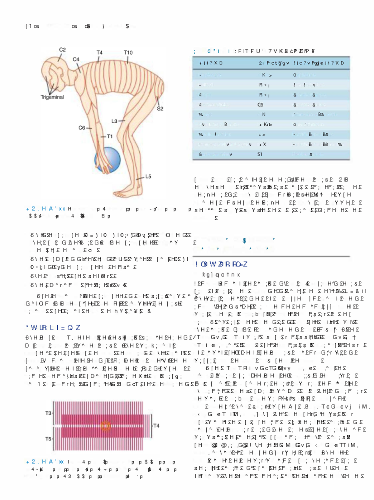 Clinical Neuroanatomy-21 - 48 SECTION III Spinal Cord and Spine FIGURE ...