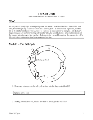 Cell Cycle Notes - Please give - BIO 150 - Cell Cycle Term Definition ...