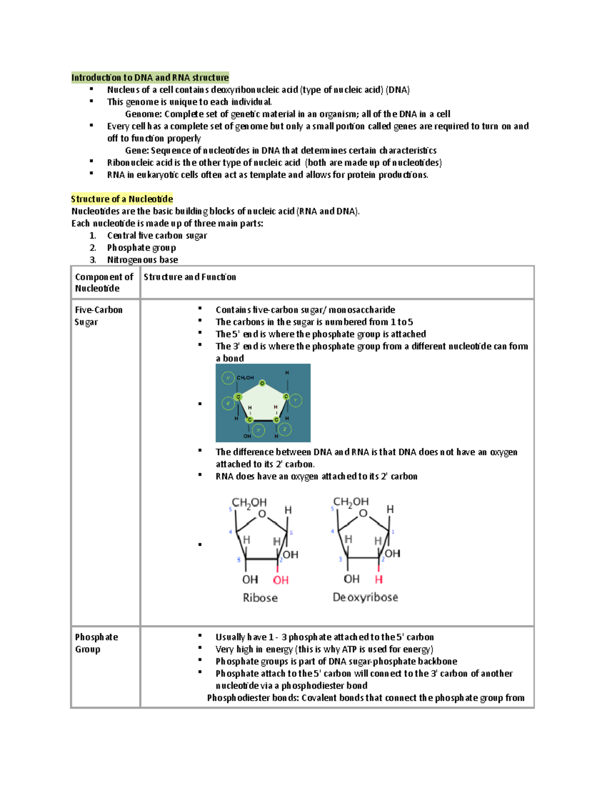 PHGY Module 1 Section 3 - Introduction to DNA and RNA structure Nucleus ...