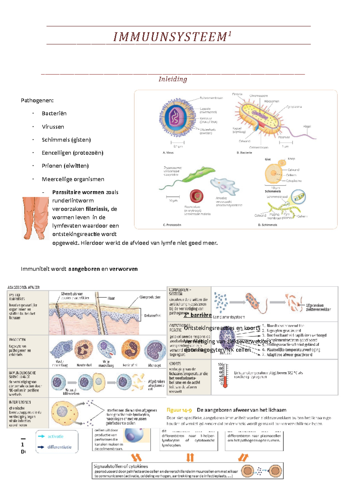 Immuunsysteem - IMMUUNSYSTEEM 1 Inleiding Pathogenen: Bacteriën ...