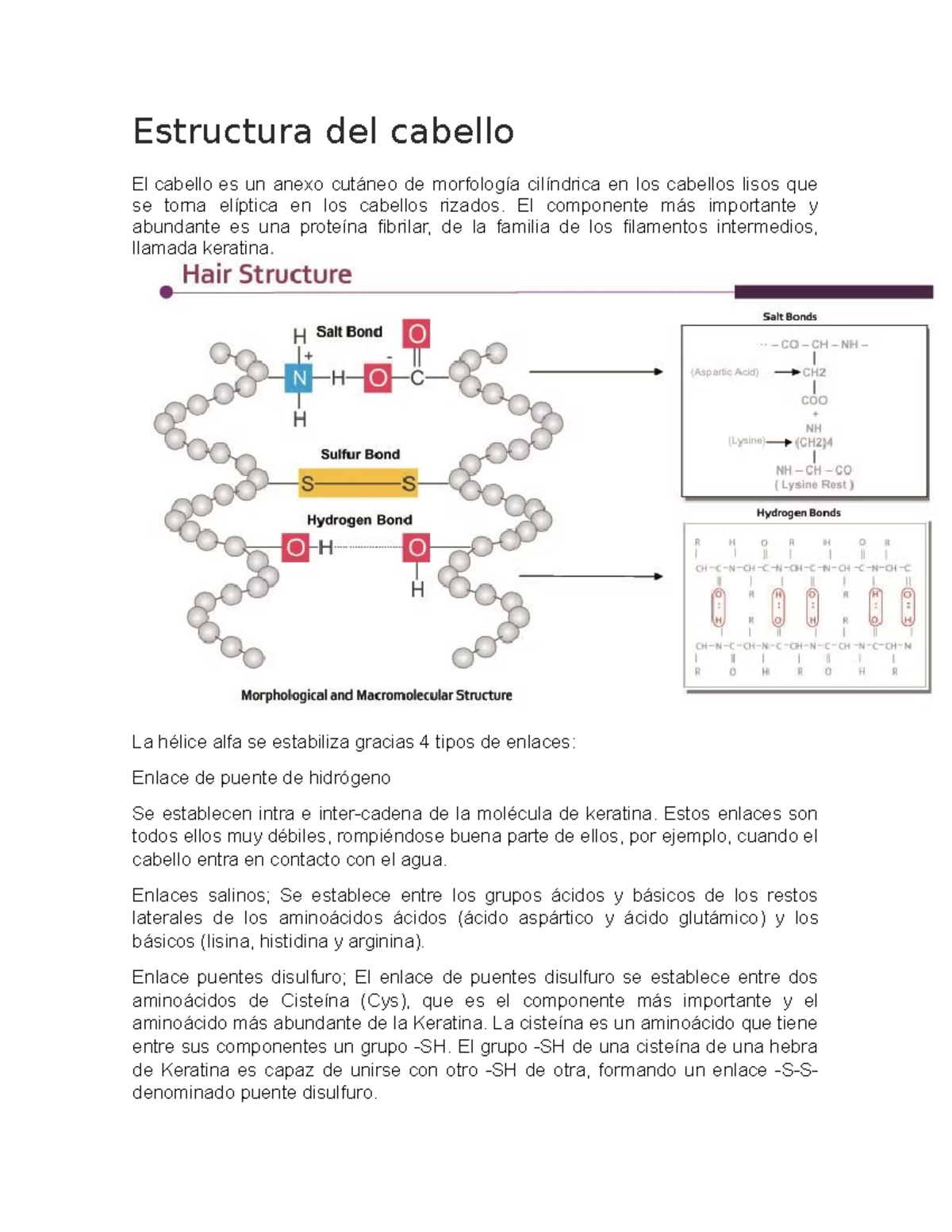 Estructura del cabello - El componente más importante y abundante es ...