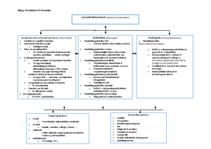 Patronen van gordon OG - Patroon van gezondheidsbeleving en ...