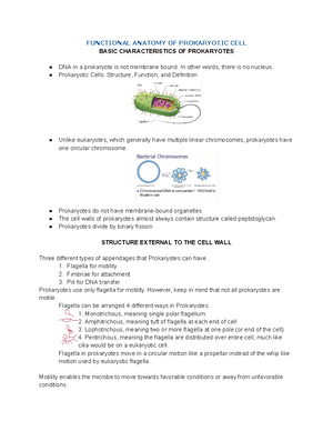 Lesson 2 assessment - General Biology 1 - Lesson 2 Practice Exercise ...