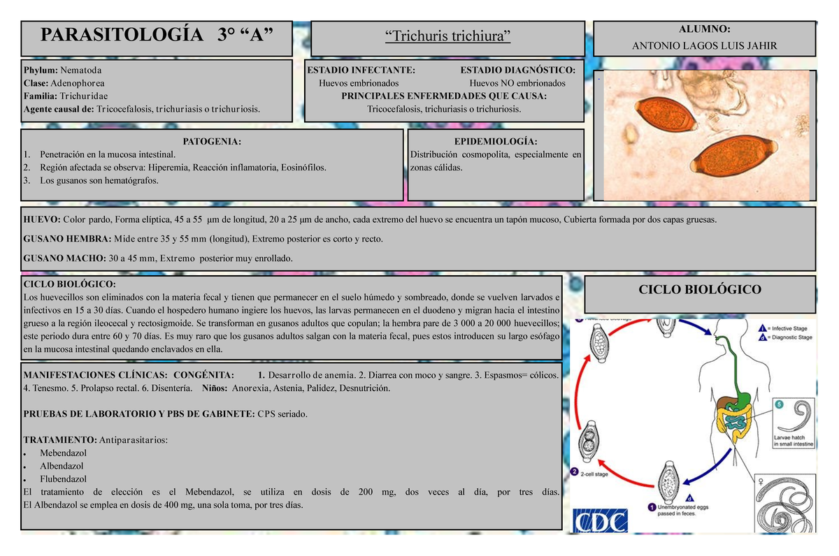 Nematodos 1RA Parte - dasdasdasd - PARASITOLOGÍA 3° “A” ALUMNO: ANTONIO ...