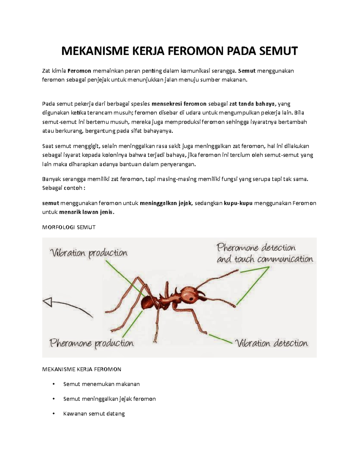 Mekanisme Kerja Feromon PADA Semut - MEKANISME KERJA FEROMON PADA SEMUT ...