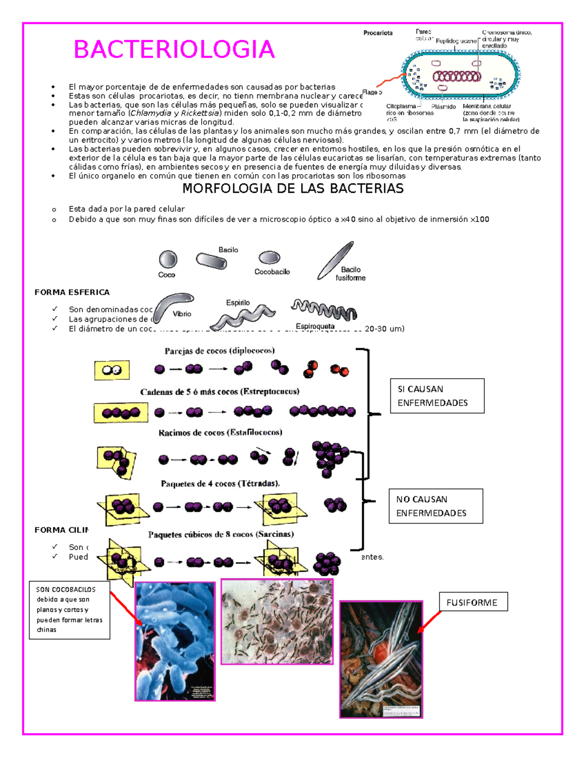 Bacteriologia apuntes - BACTERIOLOGIA El mayor porcentaje de de ...