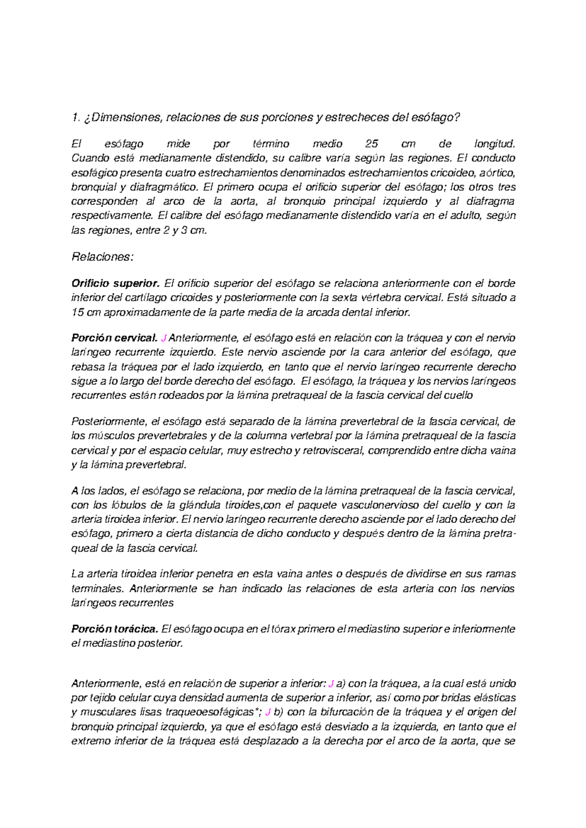 Preguntas Anatomia - 1. ¿Dimensiones, relaciones de sus porciones y ...
