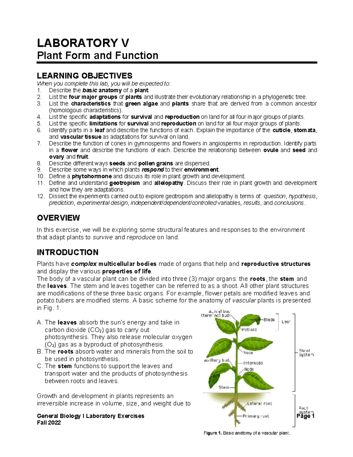 NYA F22 Lab 5 Plant Form and Function 2 - LABORATORY V Plant Form and ...
