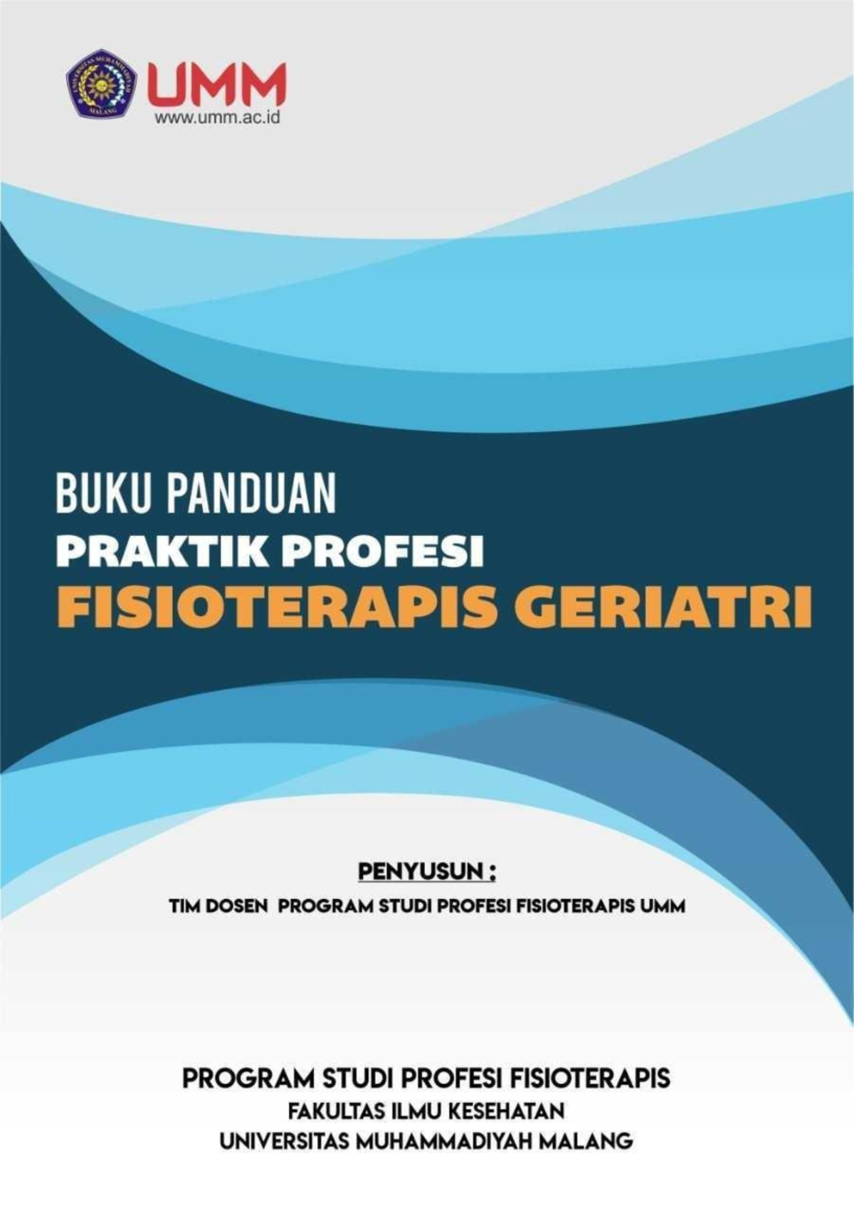 Geriatri Panduan - PANDUAN PRAKTIK PROFESI FISIOTERAPI GERIATRI PROGRAM STUDI PROFESI ...