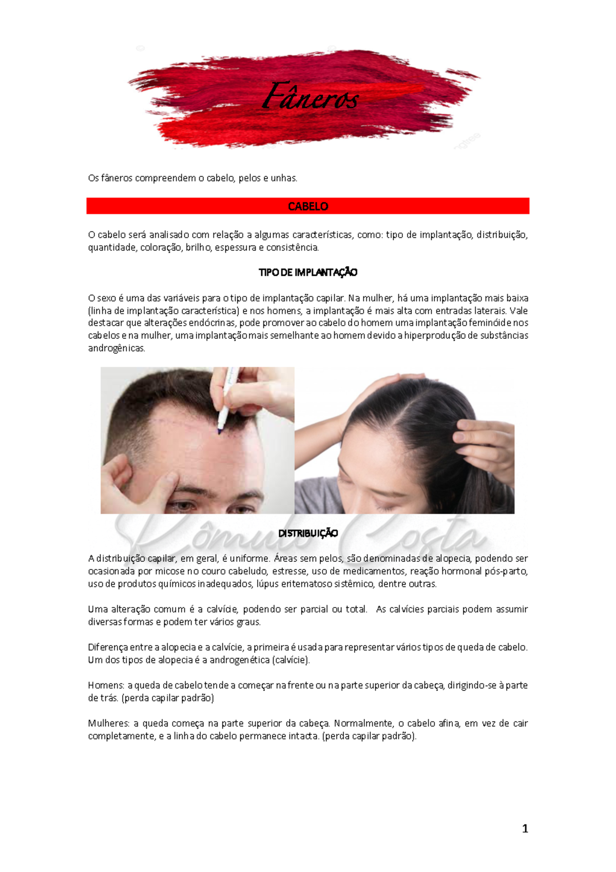 Fâneros - Anotações de sala - Os fâneros compreendem o cabelo, pelos e ...
