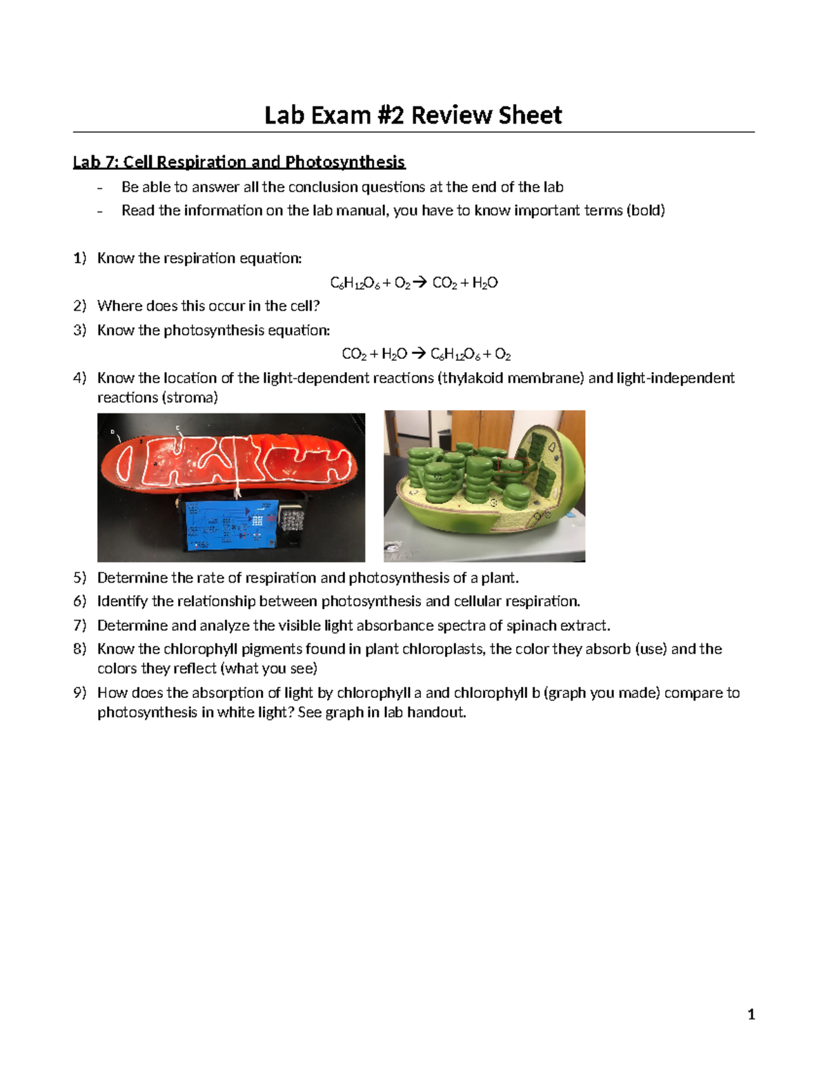 BIOL 1406, Lab Exam #2 Review - Lab Exam #2 Review Sheet Lab 7: Cell ...