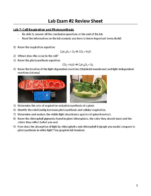 BIOL 1406, Lab #6 - Cellular Respiration and Photosynthesis - LAB ...