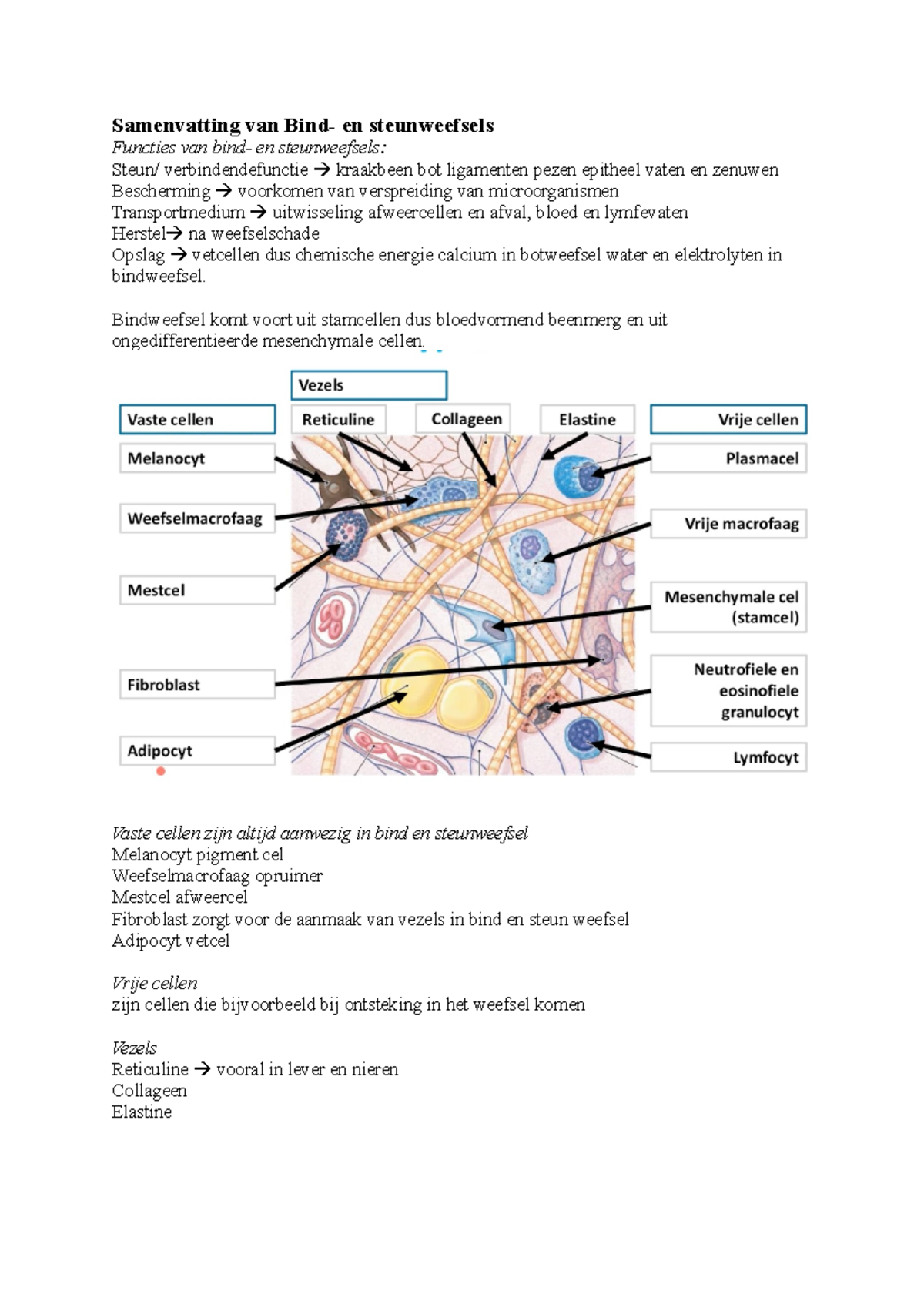 Samenvatting pathofysiologie bind- en steun weefsels - Samenvatting van ...