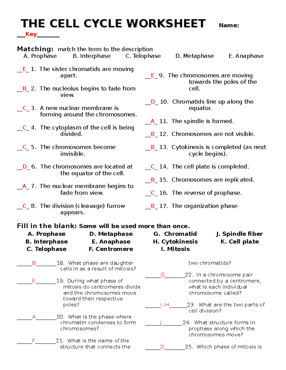 The cell cycle worksheet With Answers THE CELL CYCLE WORKSHEETTHE the-cell-cycle-worksheet-with-answers-the-cell-cycle-worksheetthe