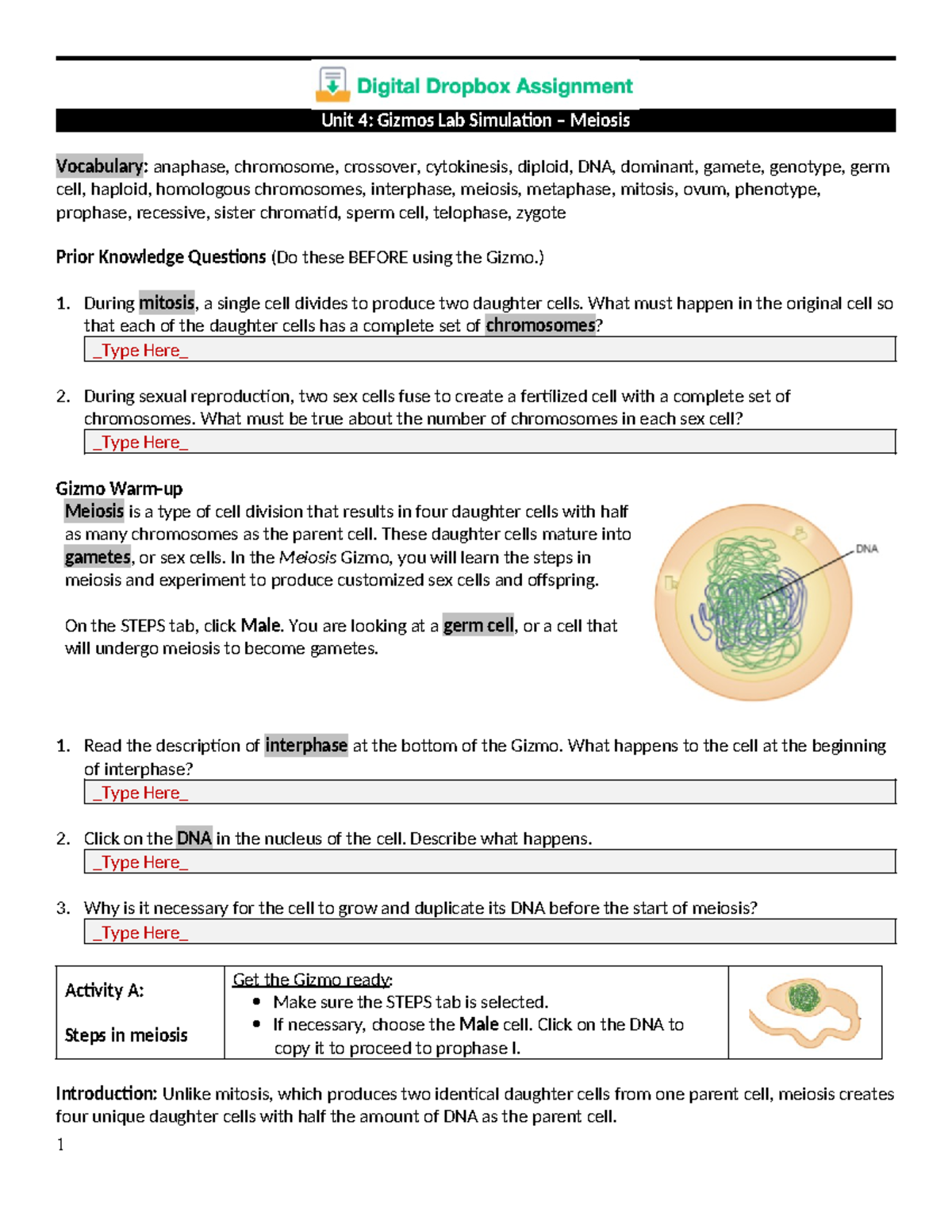U4 Meiosis - yep - Unit 4: Gizmos Lab Simulation – Meiosis Vocabulary ...