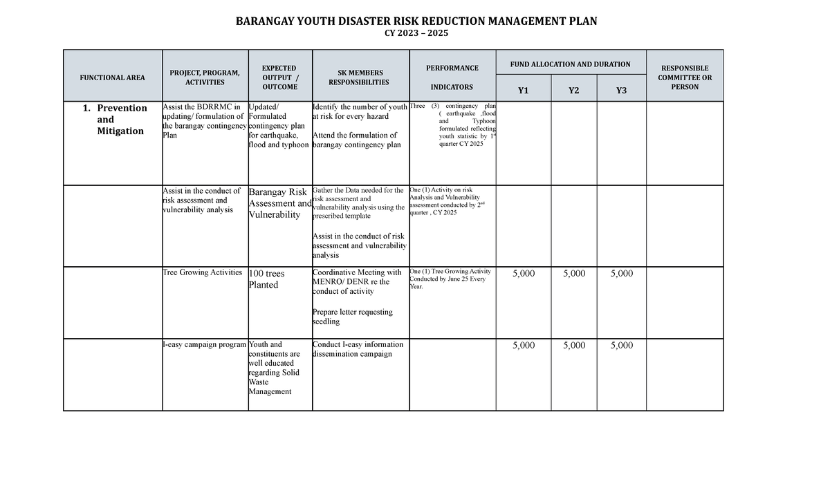 Barangay Youth Disaster RISK Reduction Management PLA1 - BARANGAY YOUTH ...