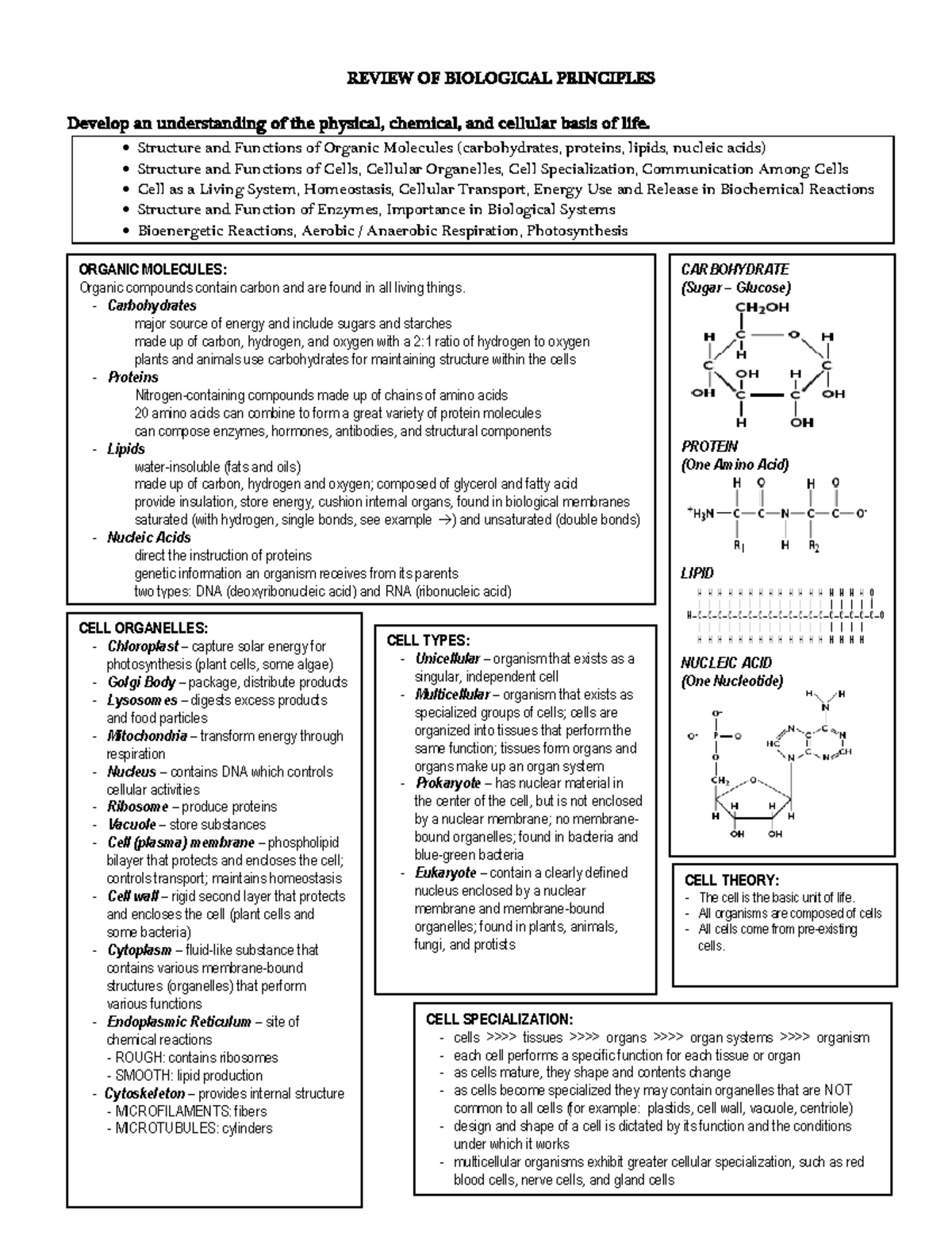 Biology Principles Review 11-20-14 - REVIEW OF BIOLOGICAL PRINCIPLES ...