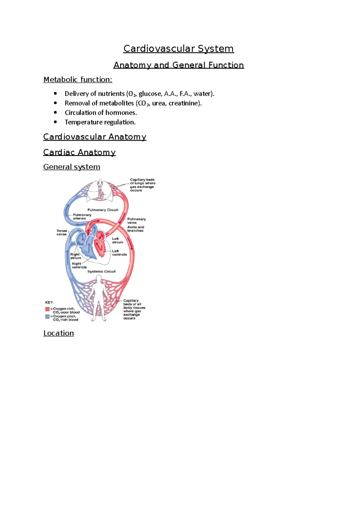 Cardiovascular System Notes - Cardiovascular System Anatomy and General ...