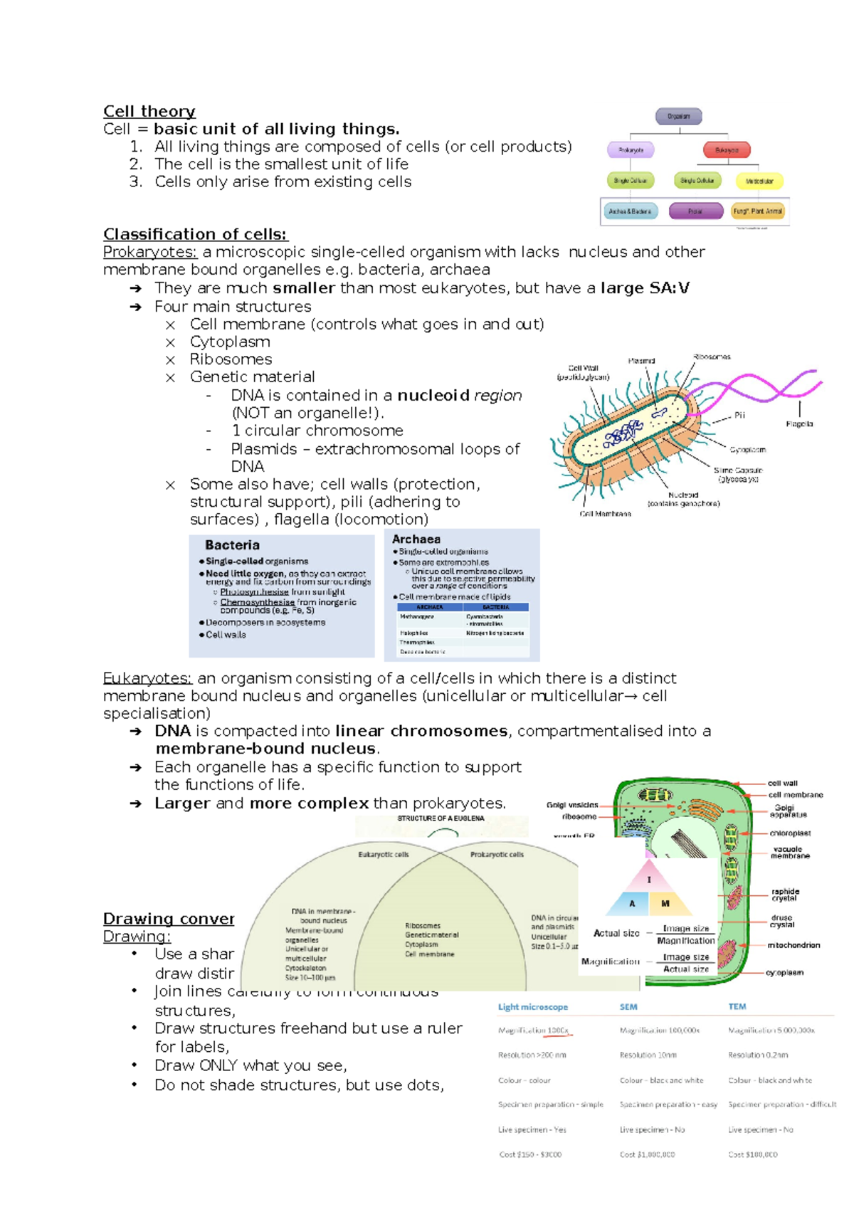 Biology Module 1 notes - Cell theory Cell = basic unit of all living ...