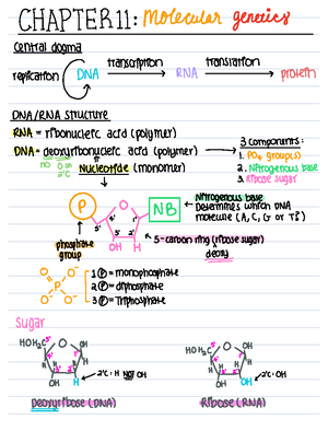 Bio 210-A Study Guide Exam 1 - CCHAAPPTTERRII EEMMESS OF BIOLOGY ...