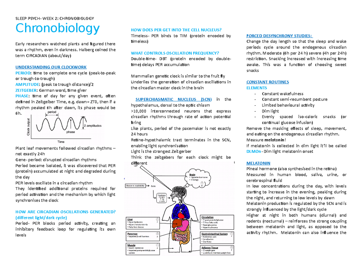 Week 2 - Chronobiology lecture notes - SLEEP PSYCH- WEEK 2 ...
