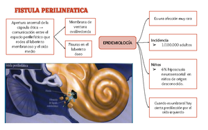 Portafolio Semiológico de Otorrinolaringología - SEMIOLOGÍA DE SIGNOS ...